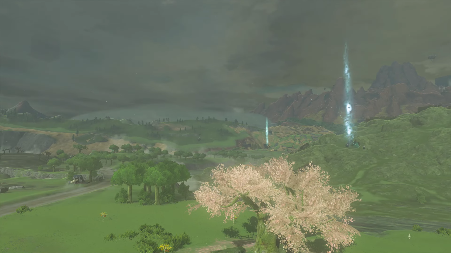 Zelda Tears of the Kingdom: All Cherry Blossom Trees Location