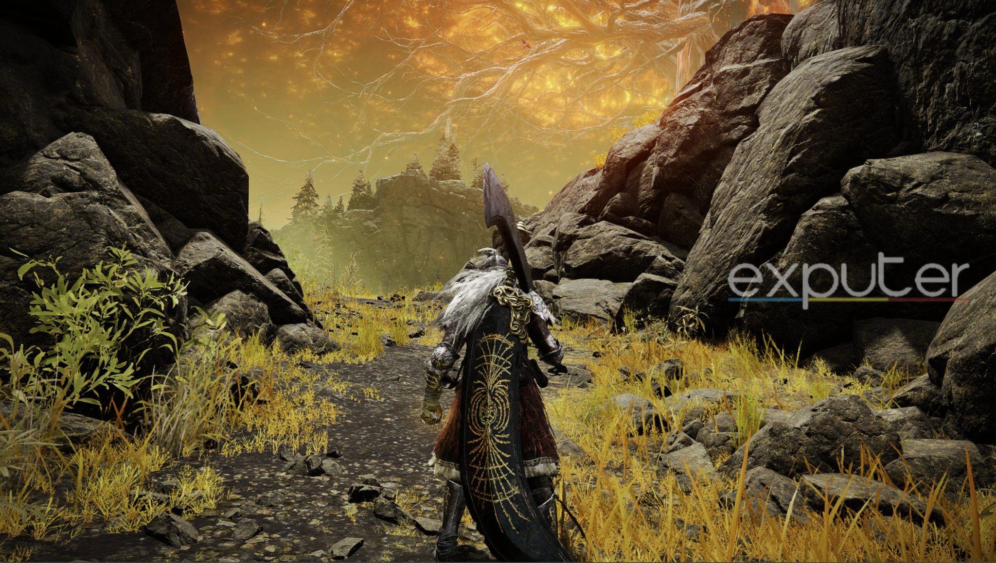 Elden Ring: All Magma Wyrm Locations & Weakness - eXputer.com