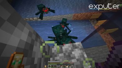 Minecraft: 12 Best Ways To Farm XP [Early, Mid, And Endgame]