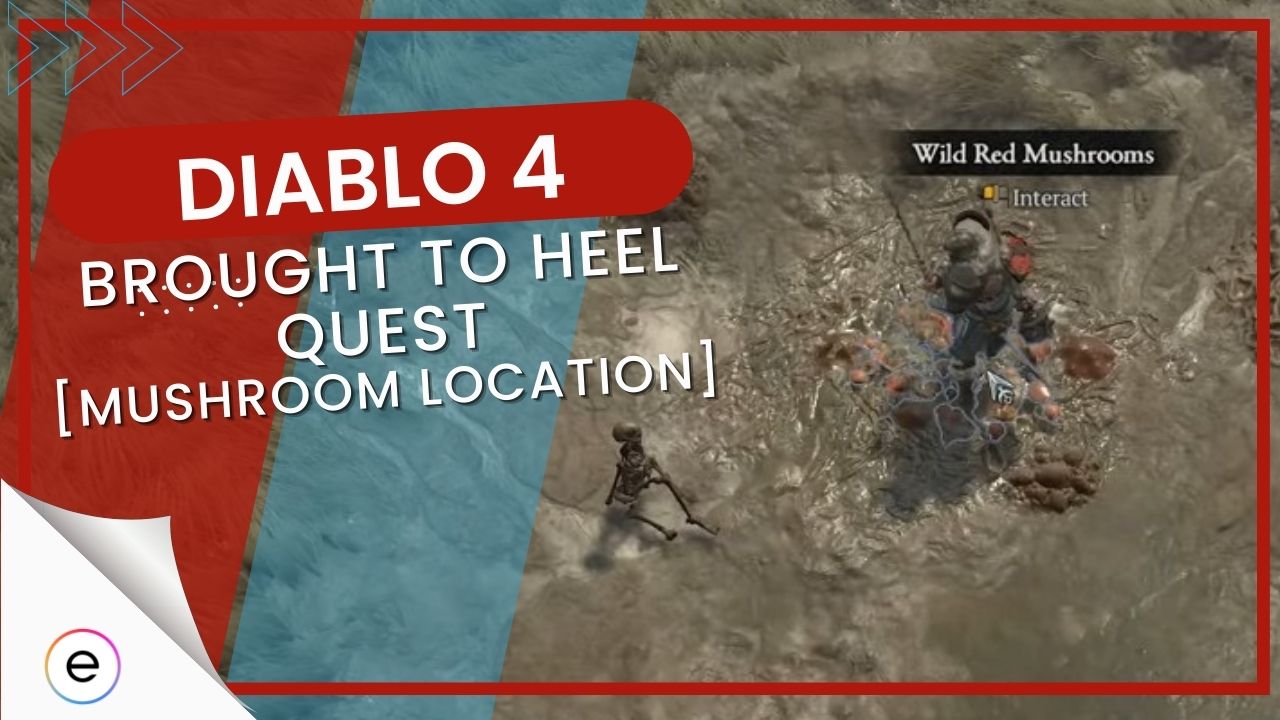 Diablo 4: How To Fix Crashing On PC [Updated] - eXputer.com