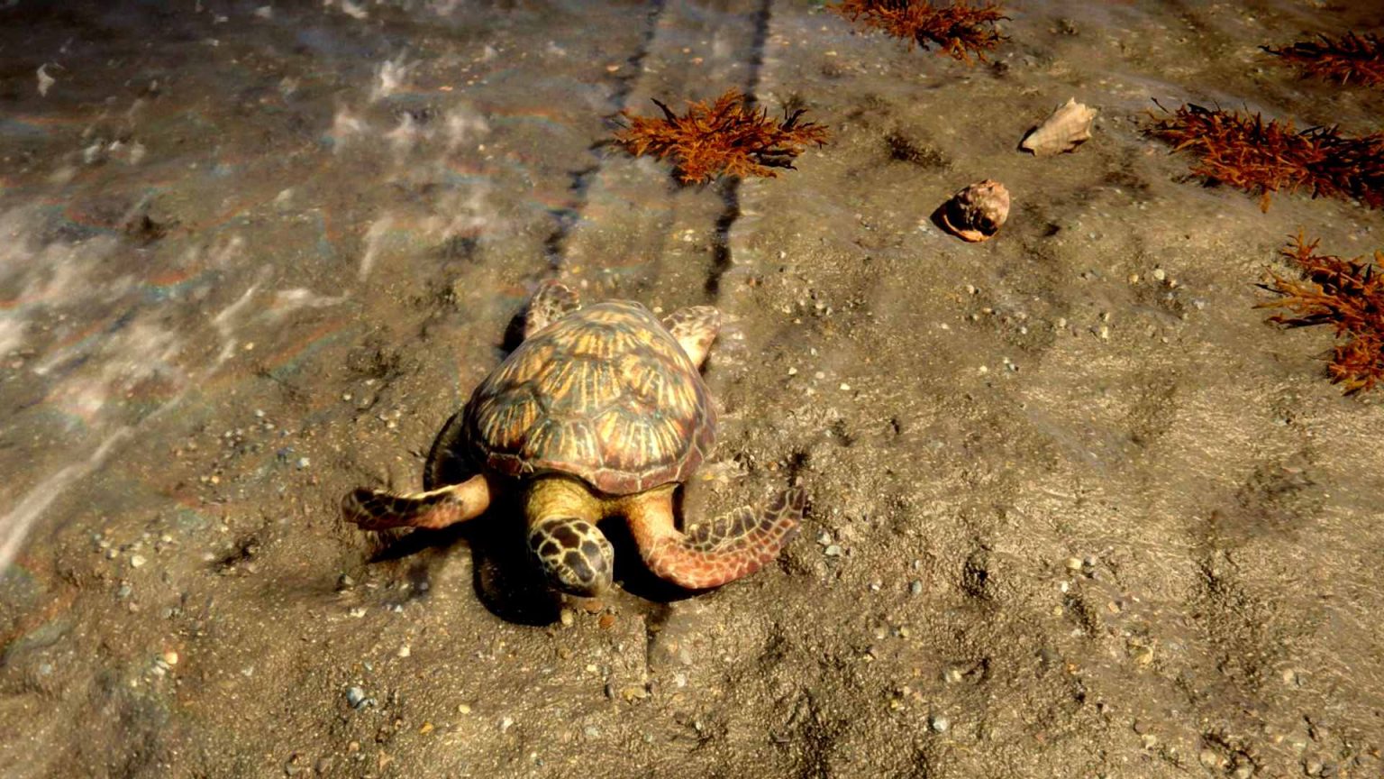 How To Kill Sluggy In Sons of the Forest - eXputer.com