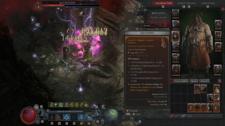 Diablo 4 Druid Storm Wolf Build [Weapons, Armor, & Skills]