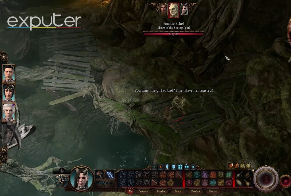 Baldur's Gate 3 Efrin [How To Dispel Petrification & Stats] - eXputer.com