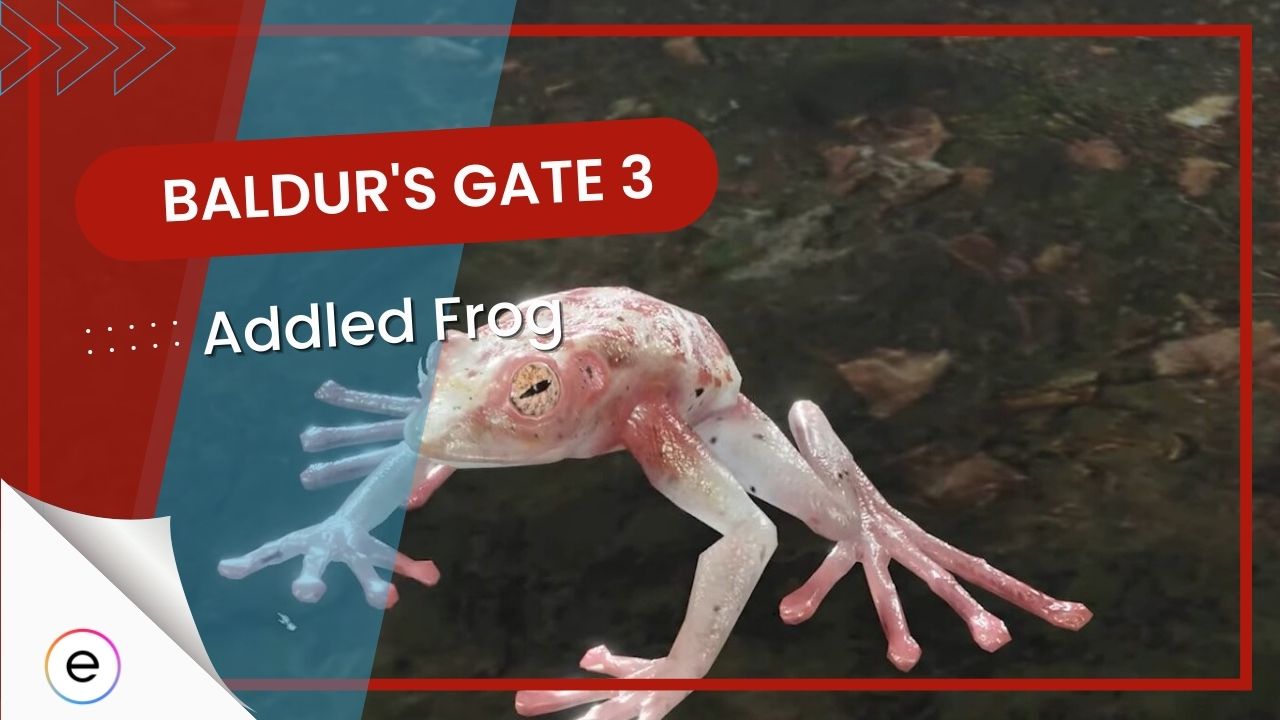 Baldur's Gate 3: Addled Frog's Secret Reward [Explained] - eXputer.com