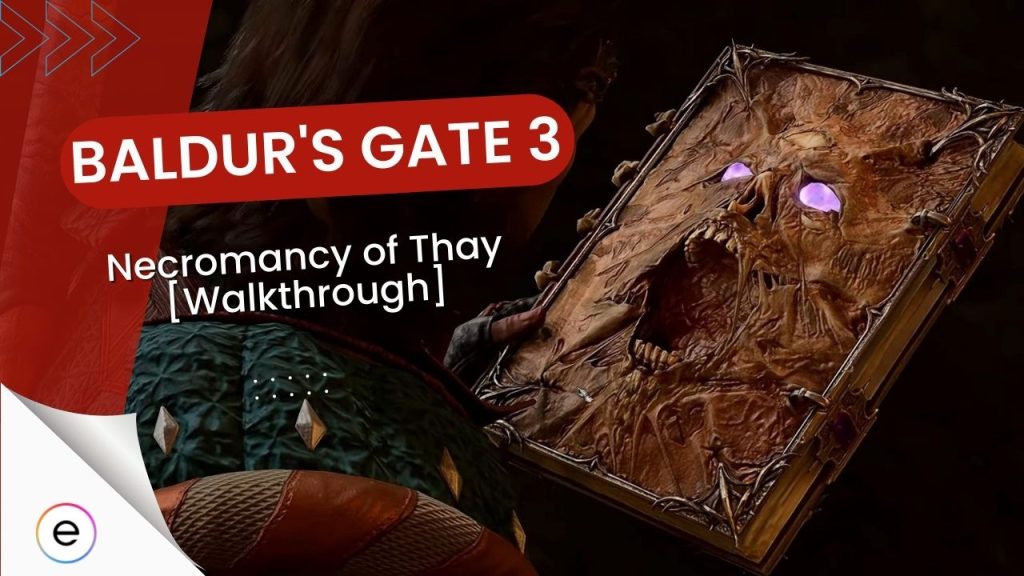 Baldur's Gate 3: Addled Frog's Secret Reward [Explained] - eXputer.com