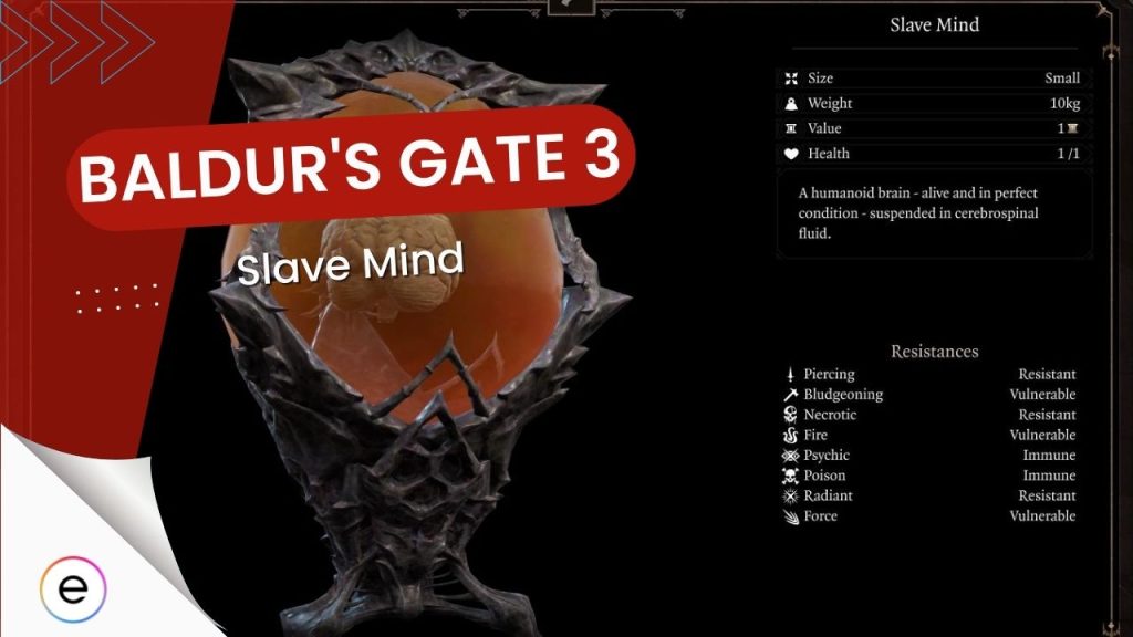 Baldur's Gate 3: Rune Of The Wolf [Location & Use] - eXputer.com