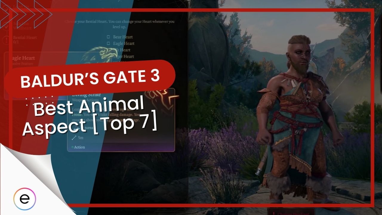 BG3: The Definitive BEST Animal Aspects [200+ Hours Experience ...