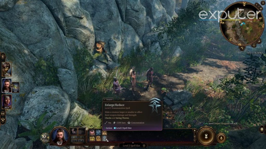 Baldur's Gate 3: Exploring Burrow Holes And Crevices - eXputer.com