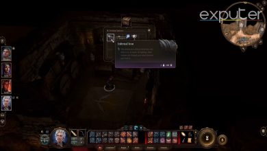 Baldur's Gate 3: All Locations Of Infernal Iron - eXputer.com