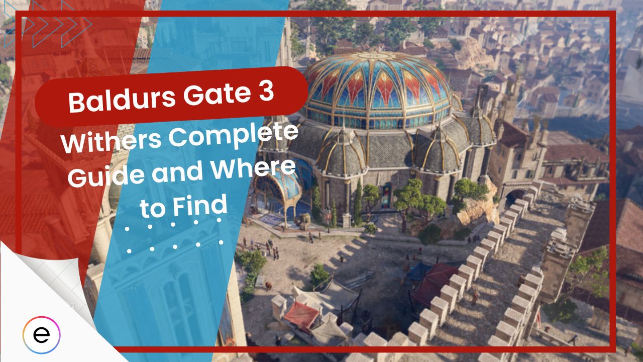 Baldur's Gate 3 Withers: Role & Locations - eXputer.com