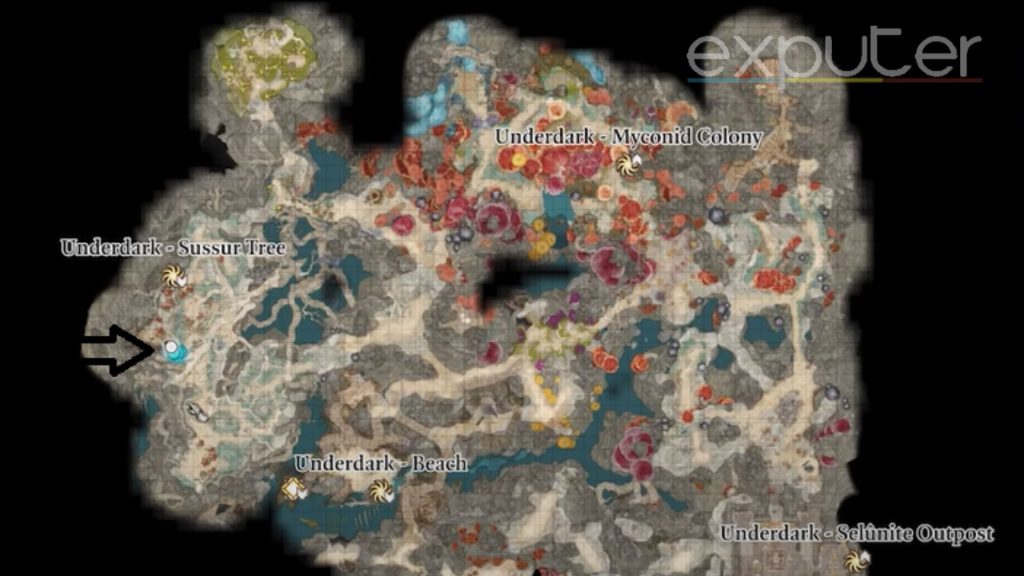 Baldur's Gate 3: Icy Crystal [Location & Usage] - eXputer.com