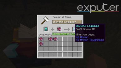 Minecraft: Best Enchantments For Leggings [Top 5] - eXputer.com