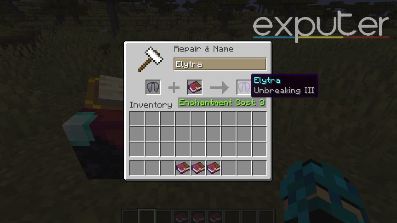 3 Best Enchantments For Elytra In Minecraft - eXputer.com