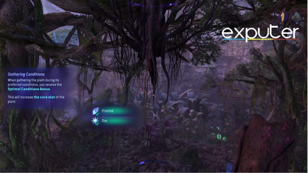 Avatar Frontiers Of Pandora: How To Get A Canopy Root - eXputer.com