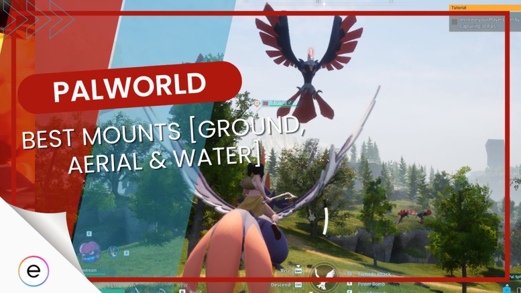 Palworld: 5 Best Storage Items [Our Picks] - eXputer.com