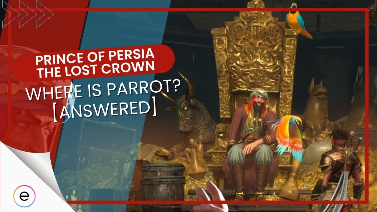 Prince of Persia The Lost Crown: Pirate Captain Parrot Location ...