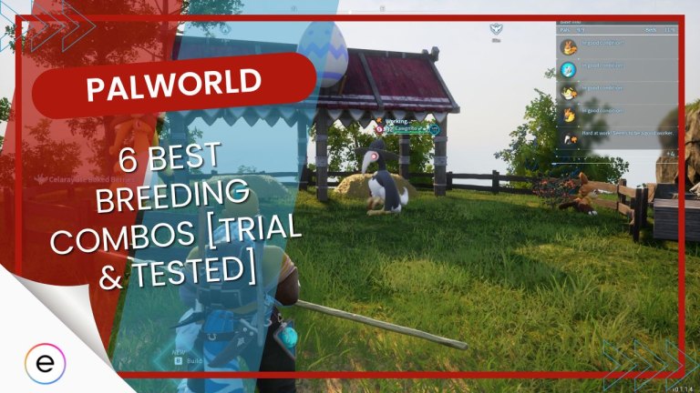 Palworld Best Player Build [Stats, Pals, Skills, & More] - eXputer.com