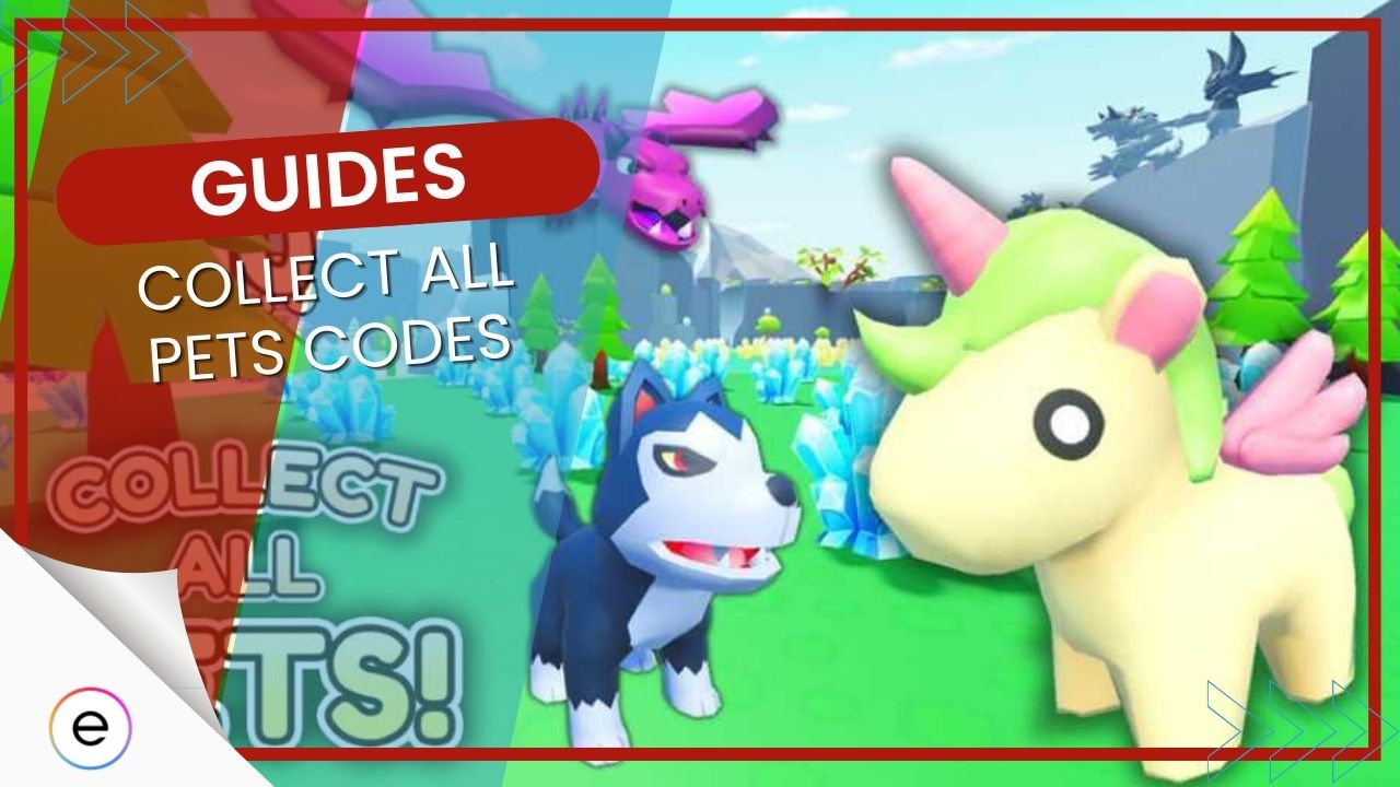 Collect All Pets Codes [Checked August 2024] - eXputer.com