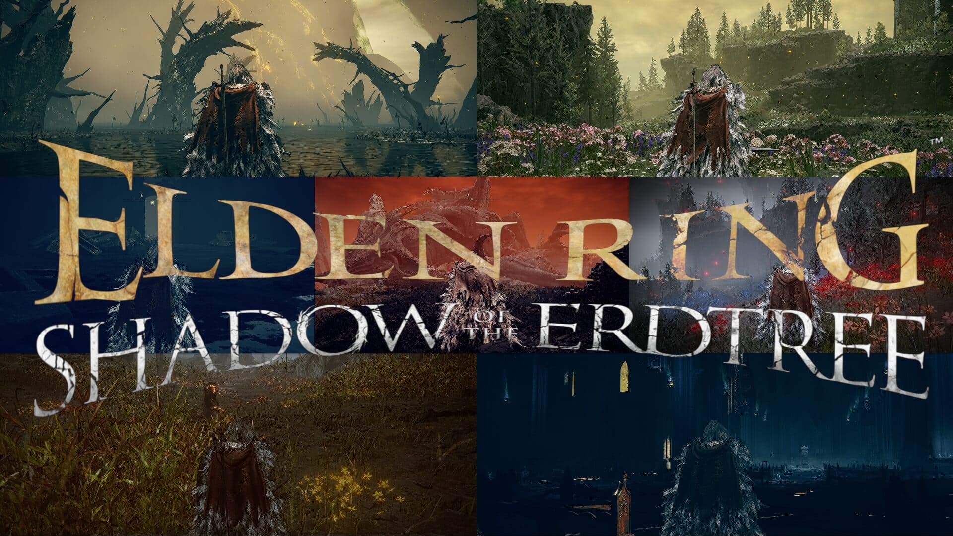 Shadow Of The Erdtree Transcends All Boundaries Of Open-World And Level ...